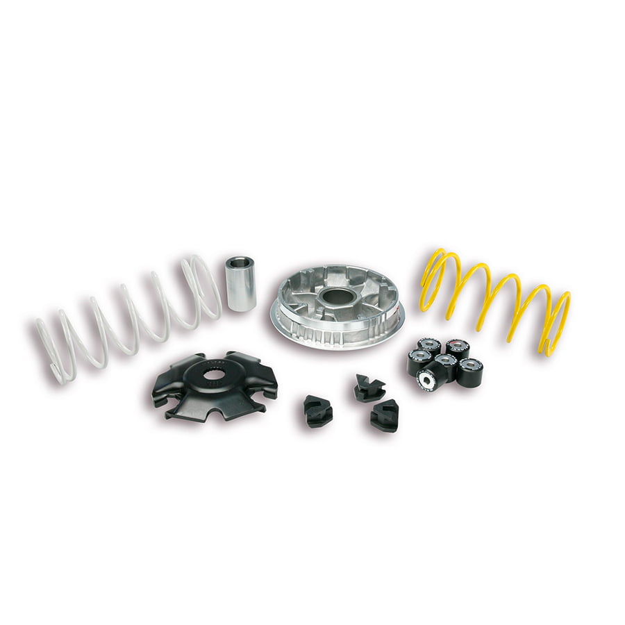 Variador Malossi Multivar - Demoto